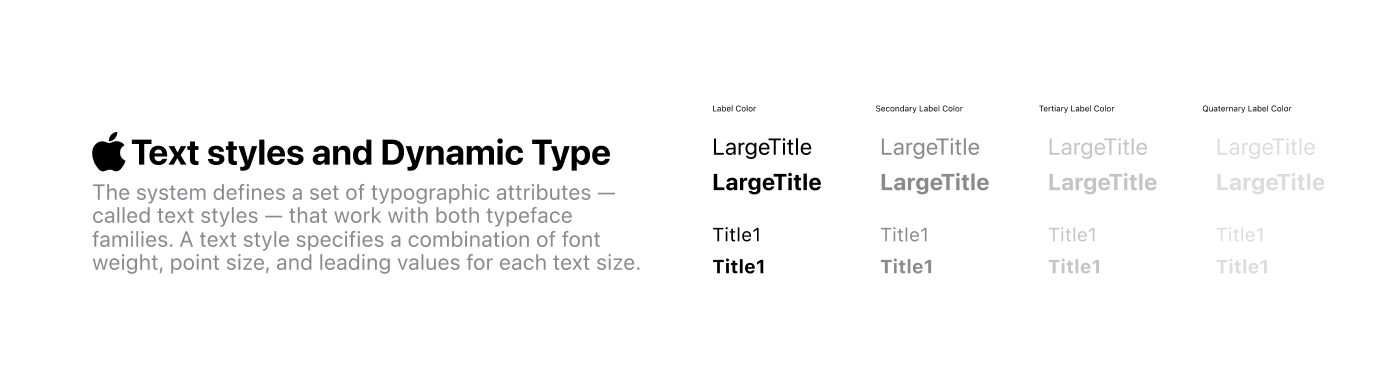 Week 5 - Creating Icons and Typography in Illustrator | CST8318 - W2025